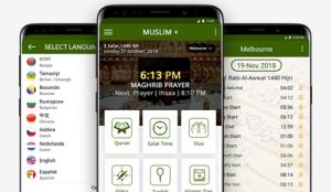 Design Portfolio - TopOfStack Software Limited